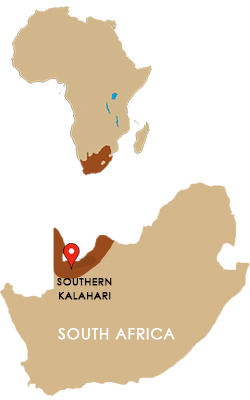 South Africa | Karell Travel